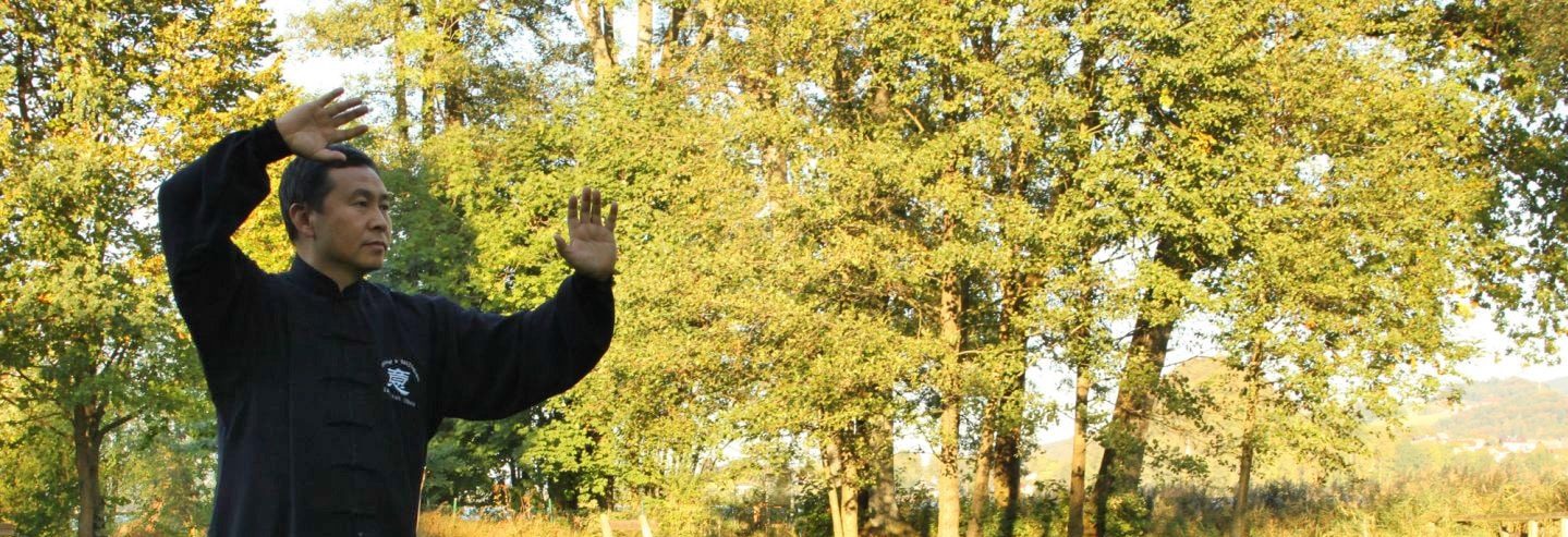 Taiji-Ausbildung - Deutschland, Österreich und Schweiz mit Jumin Chen